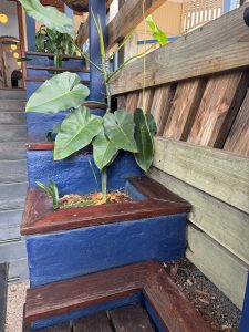 Brisbane Manor Hotel – Your home away from home in Brisbane, affordable ...